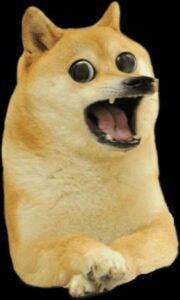 Bộ sưu tập 99+ ảnh Cheems meme chúa hề Việt Nam mới nhất